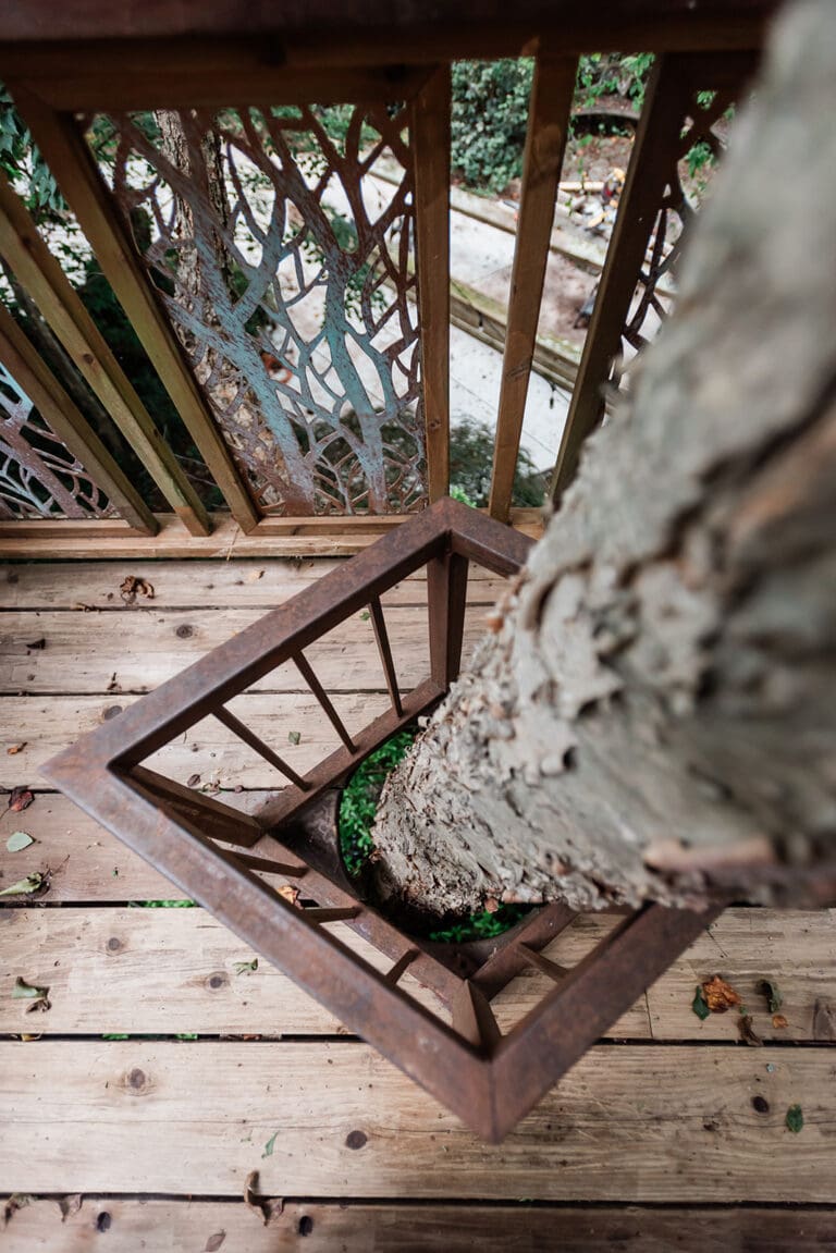 Logistics of a Treehouse Wedding: What You Need to Know!